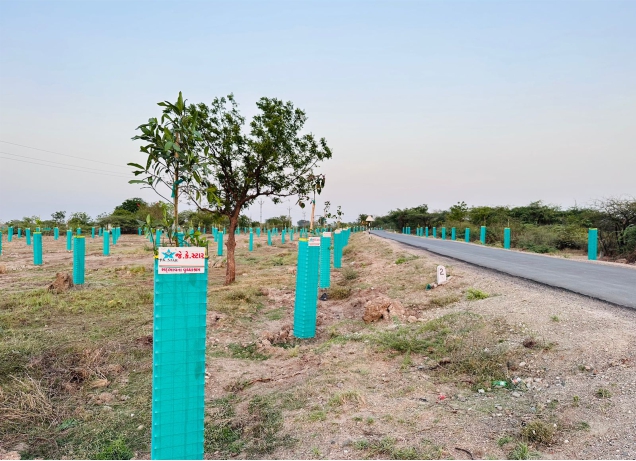 Tree Plantation | Sadbhavna Vrudhashram